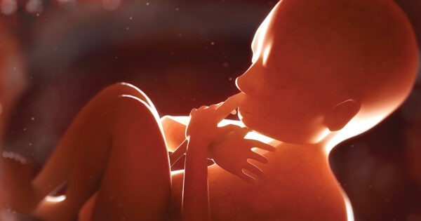 Understanding Early Eye Development | CollaborativeEYE